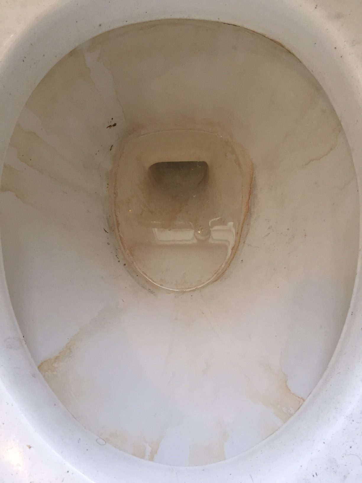 How to Resurrect a Neglected Toilet - A How-to Guide