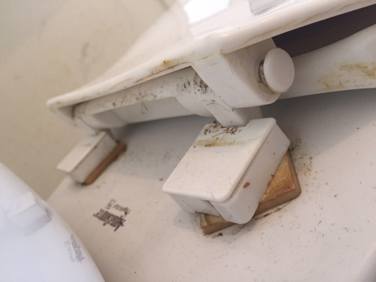 How to Resurrect a Neglected Toilet - A How-to Guide
