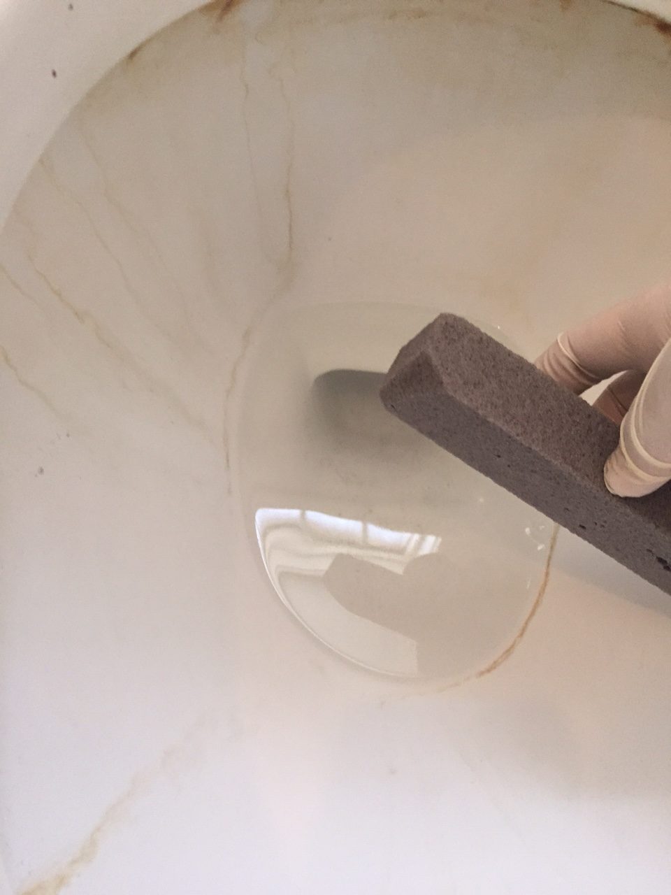 How to Resurrect a Neglected Toilet - A How-to Guide
