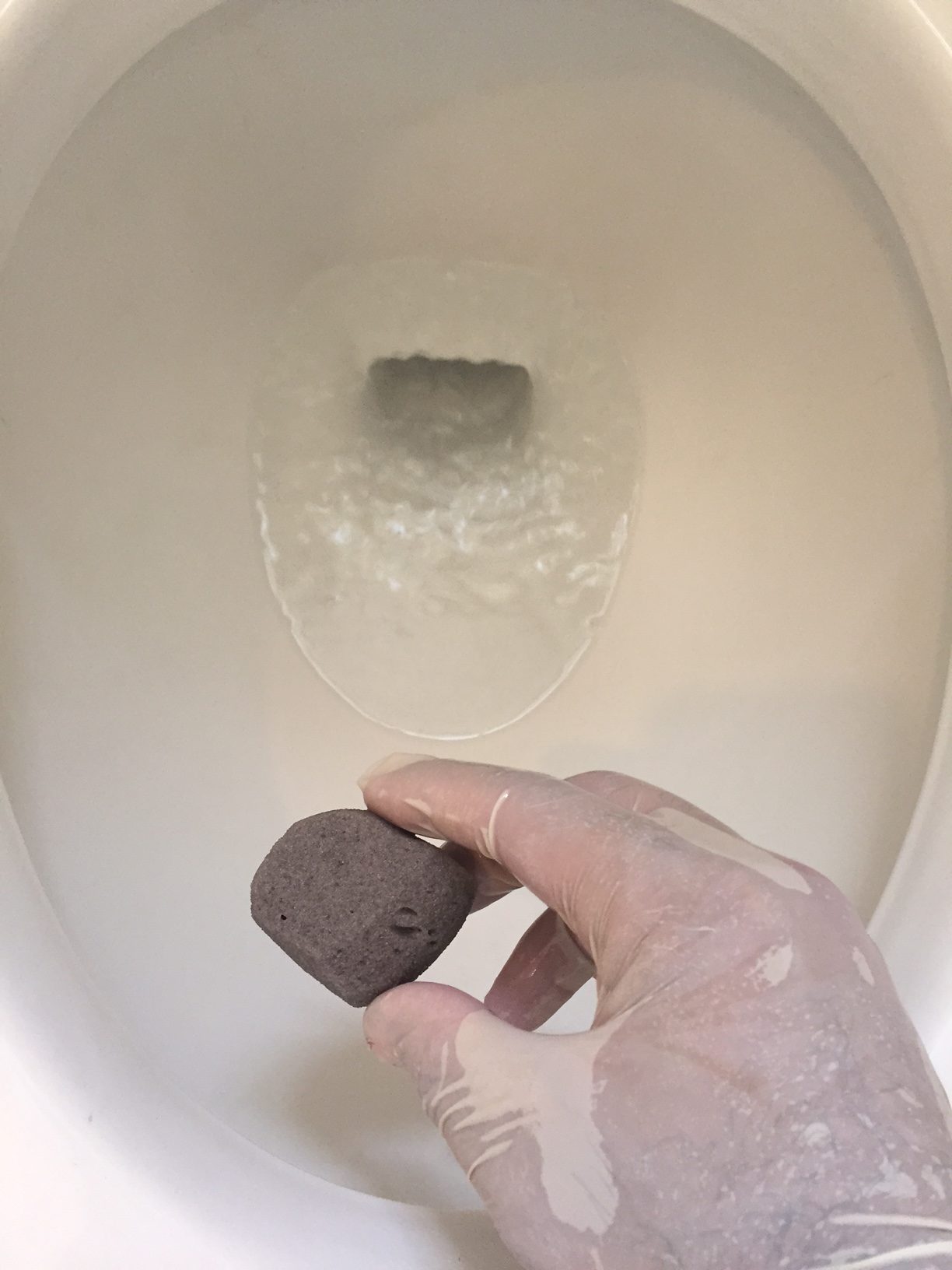 How to Resurrect a Neglected Toilet - A How-to Guide